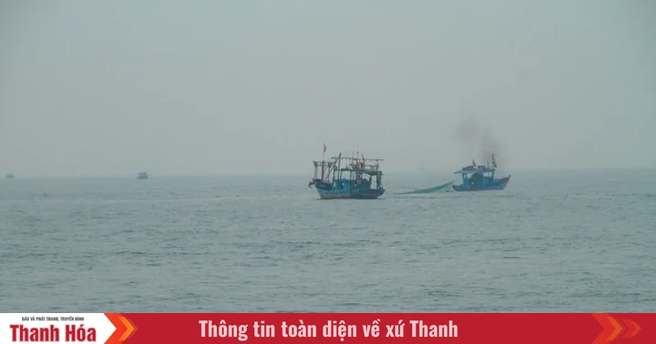 Chủ động ứng phó với rét đậm, rét hại và gió mạnh trên biển