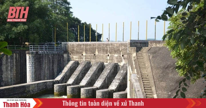 Công ty TNHH MTV Sông Chu: Vì những mùa vàng bội thu