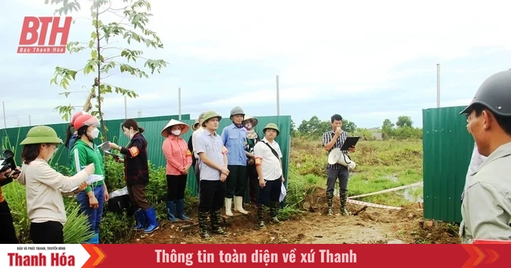 Cưỡng chế thu hồi đất thực hiện dự án Hạ tầng kỹ thuật khu dân cư số 3 ...