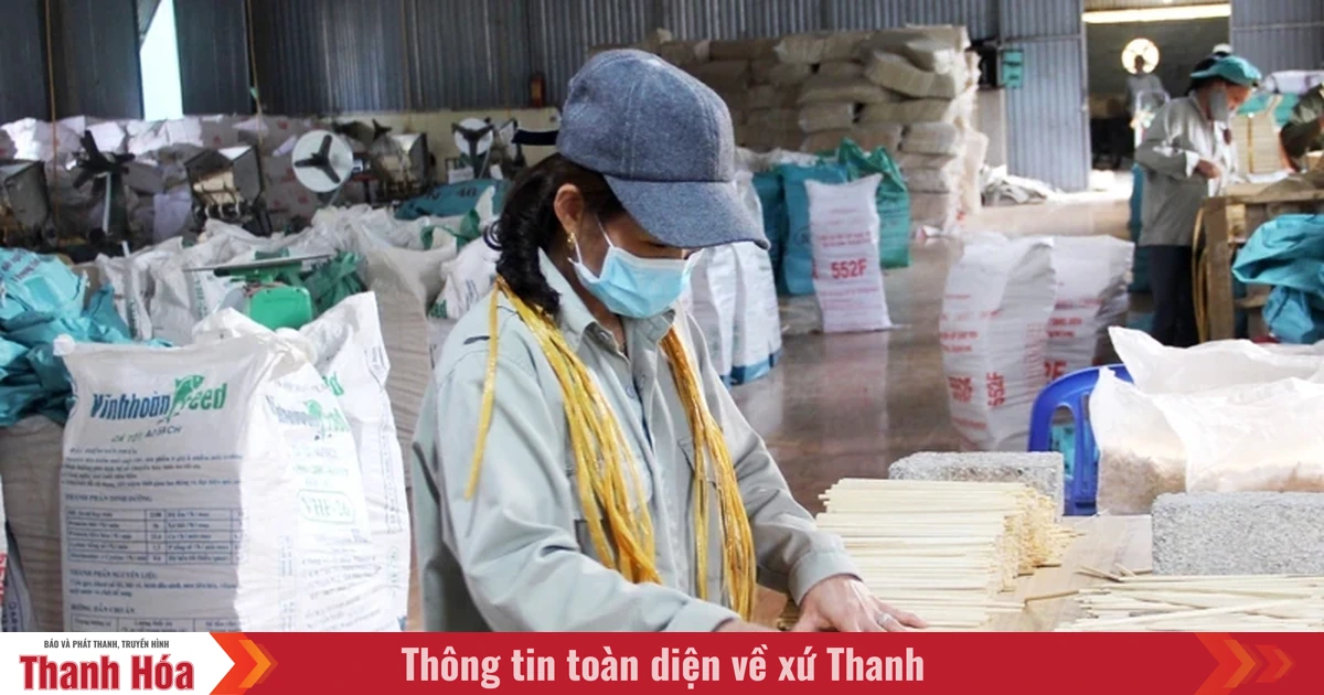 Đẩy mạnh thu hút các dự án đầu tư vào nông nghiệp, nông thôn