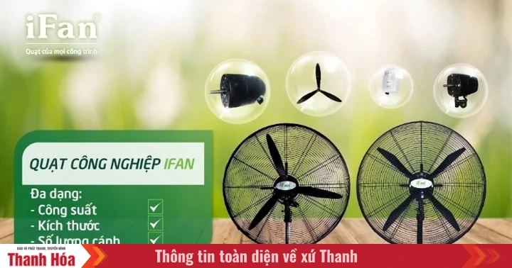 iFan Group: Đơn vị cung cấp quạt công nghiệp số 1 Việt Nam