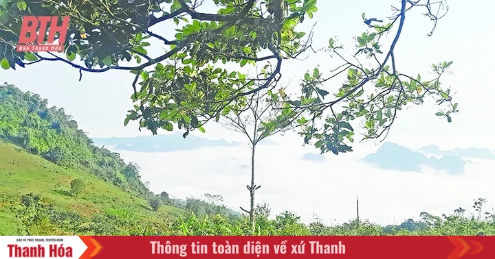 Khám phá đồi Hích