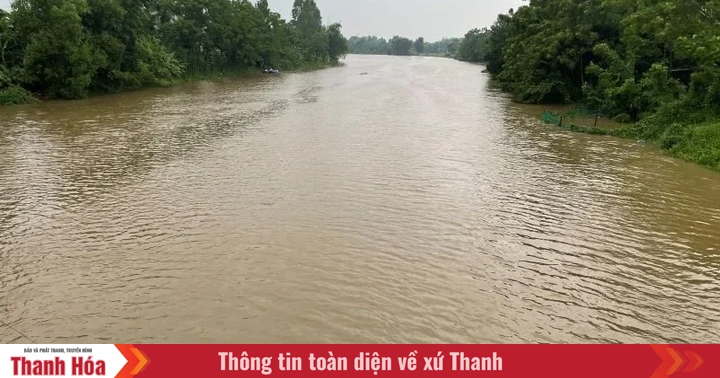 Lũ trên sông Yên khả năng đạt báo động 1 vào trưa nay (22/7)