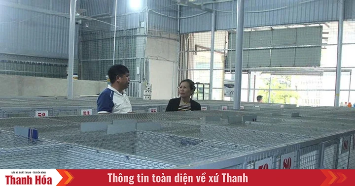 Mở hướng làm giàu từ nuôi cầy hương