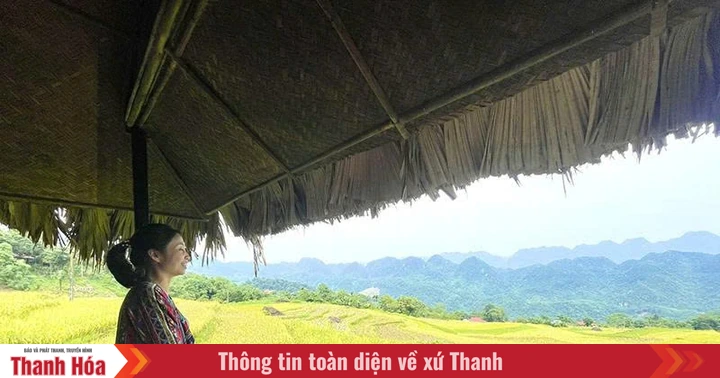 Mùa vàng Pù Luông: Từ “cảnh đẹp để ngắm” sang “trải nghiệm để nhớ”