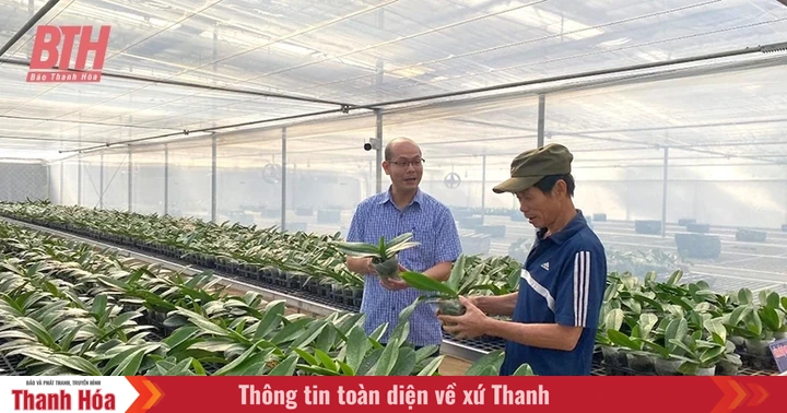 Nhân rộng mô hình HTX nông nghiệp ứng dụng công nghệ cao