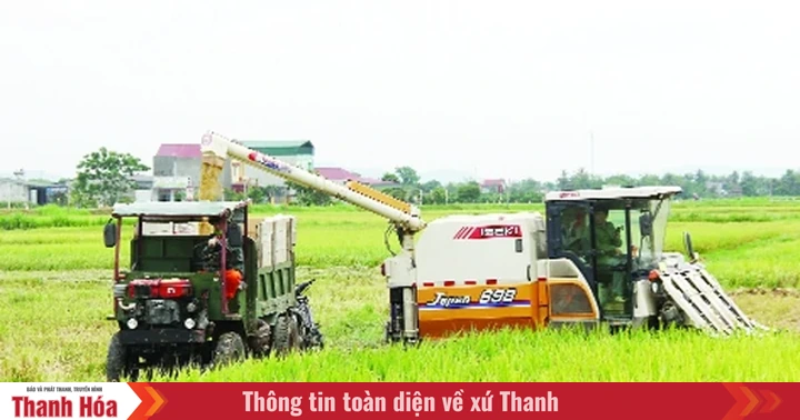 Nhân rộng những mô hình khuyến nông hiệu quả