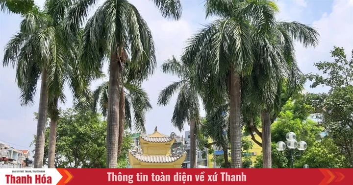 Những tấm bia đề cao việc học ở xứ Thanh