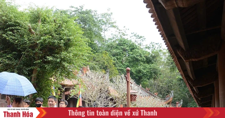 Thọ Xuân: Thu hút trên 260 nghìn lượt khách du lịch trong quý 1/2025