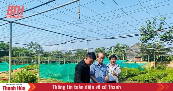 Thường Xuân chú trọng phát triển HTX đa dịch vụ