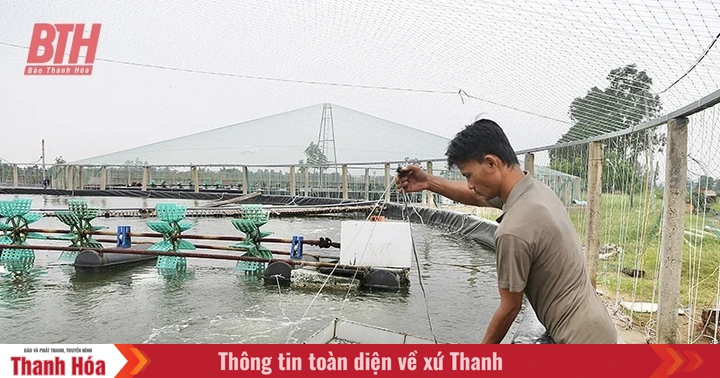 Xã Quảng Nham phát triển kinh tế biển